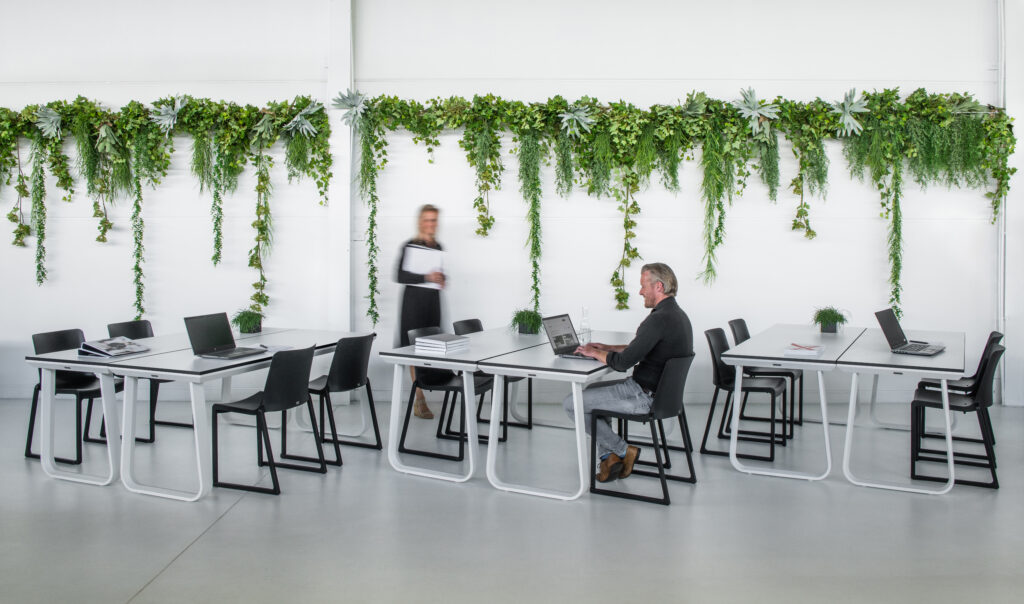 Plan of action - Flexfurn